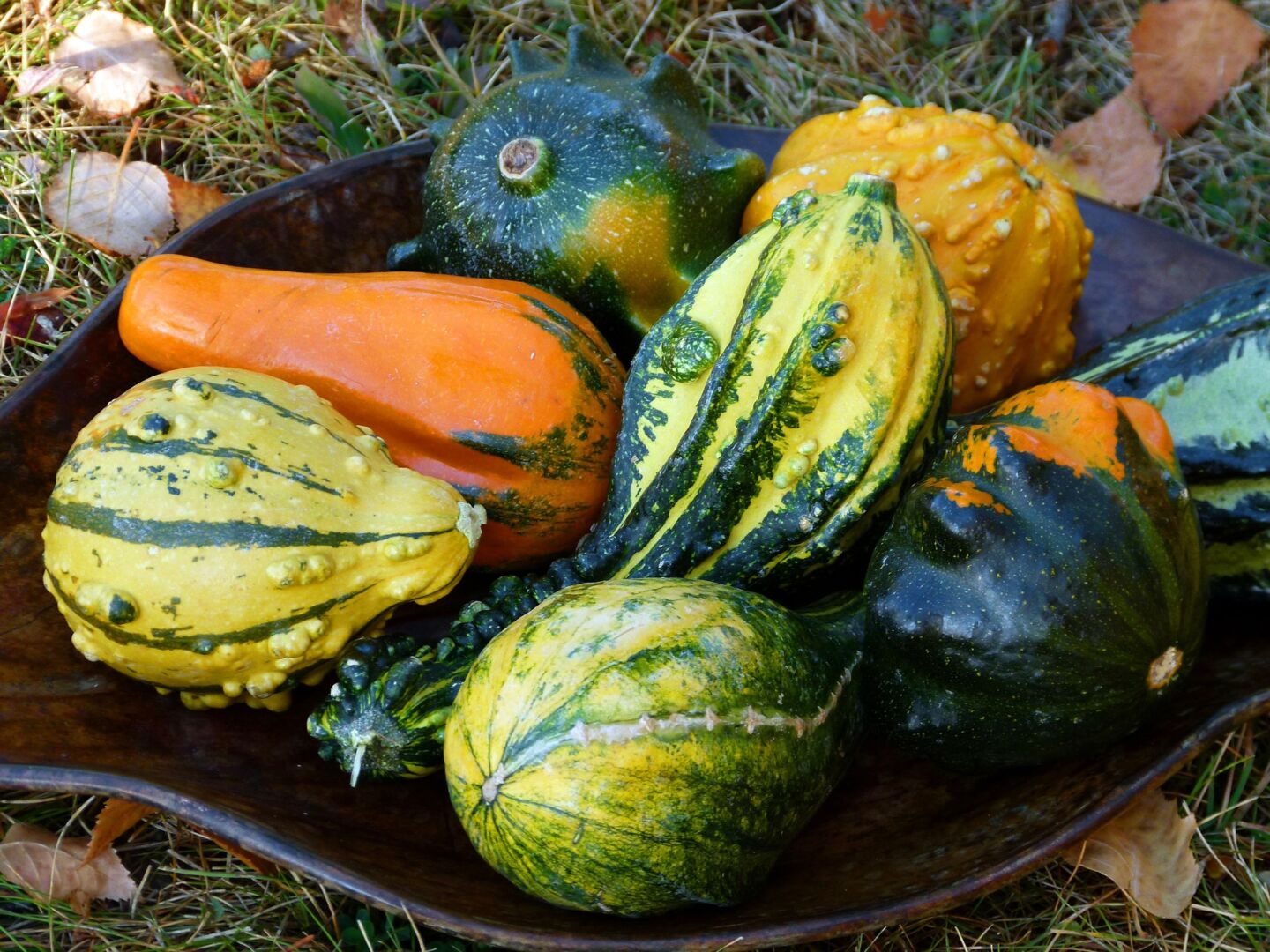 Recettes de courges. En veloutés ou en gratins, c'est délicieux